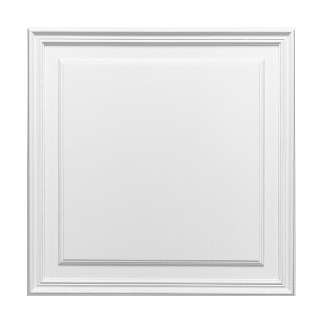 Orac Decor Wainscoting Panel 21-5/8in W x 21-5/8in H | D503