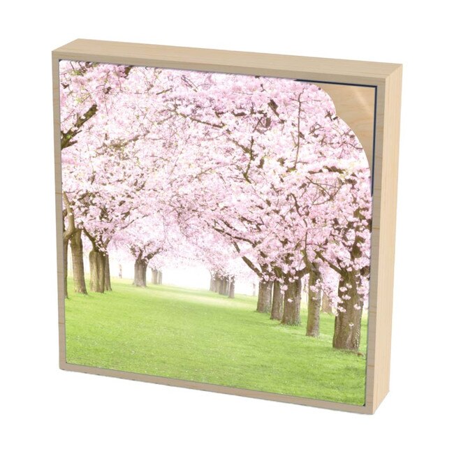 28mm Wide Profile for FOGA Fabric Flex Framing System | For Wood Frame ...