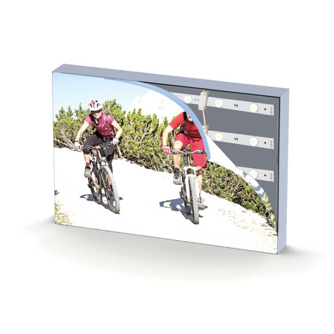 SEG LED Ladder Light 6 Rows x 40" Length | LED-LDR396-CW